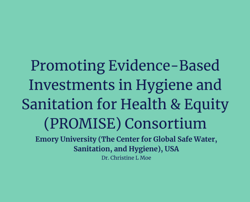 Research Portfolio – Reckitt Global Hygiene Institute