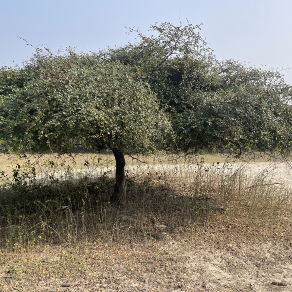 Global Handwashing Day 2025 – Reckitt Global Hygiene Institute